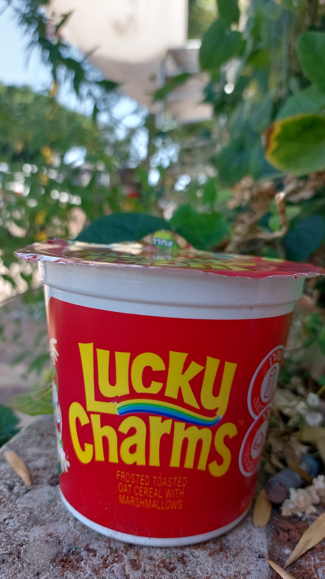 דגני בוקר to go ללא גלוטן | Cheerios