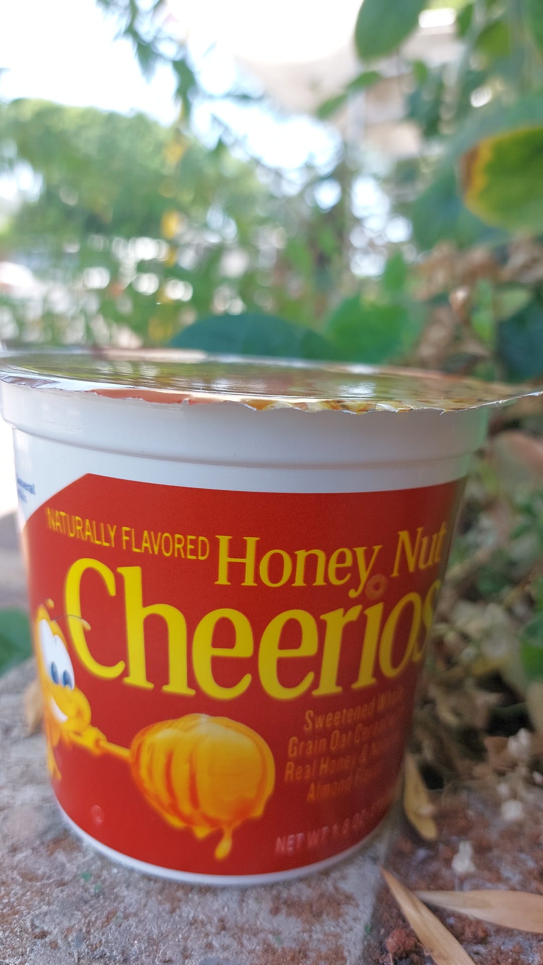 דגני בוקר to go ללא גלוטן | Cheerios